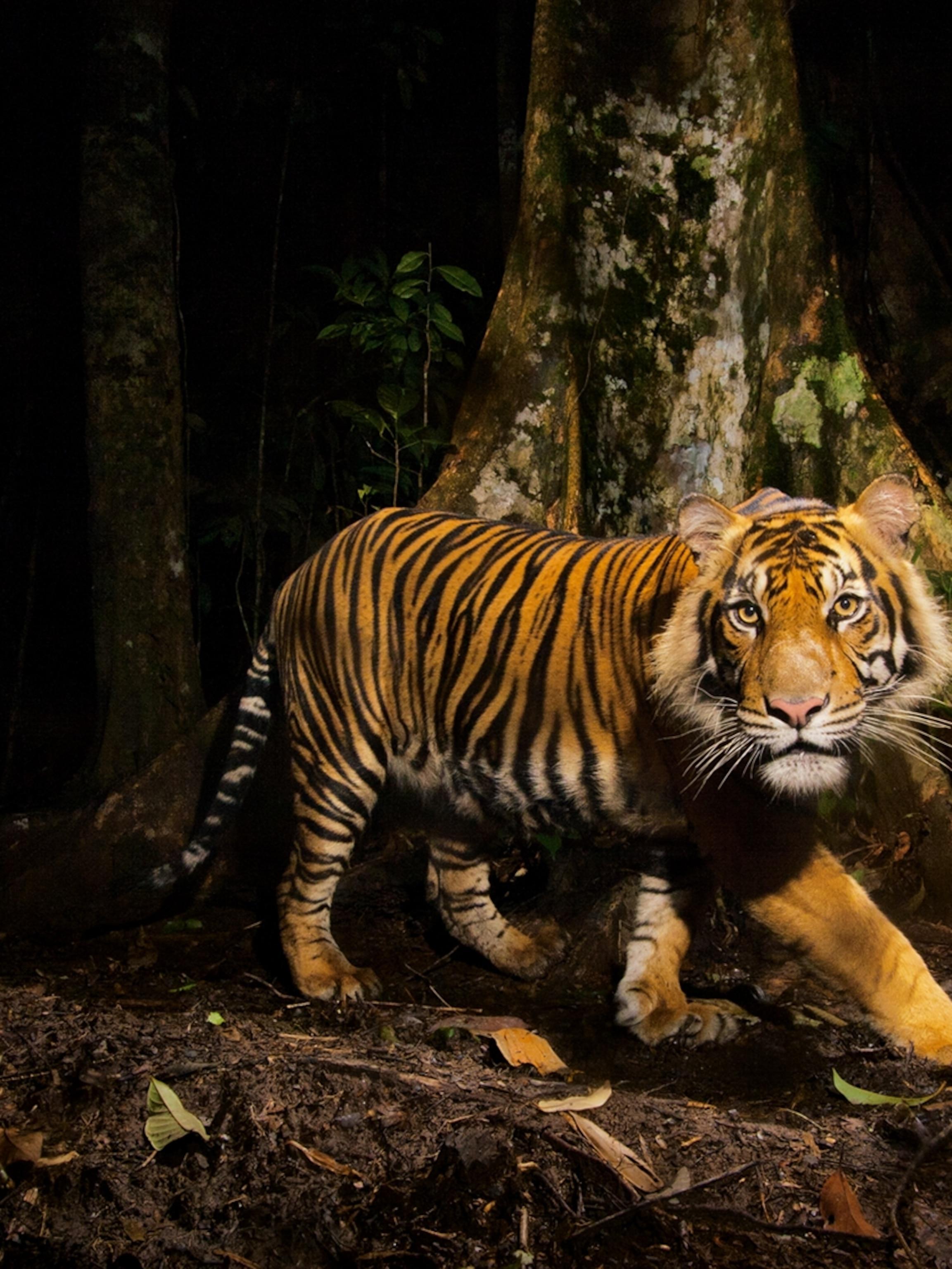 New Haven Road Plan Tarnishes the TIGER Program | Better! Cities ...