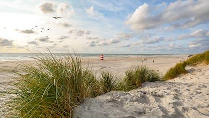 Rømø: Discover the Beauty of Denmark's Island in the North Sea