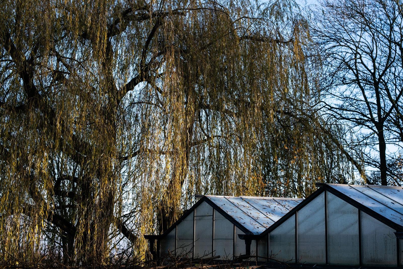 16 sustainable things to do in London